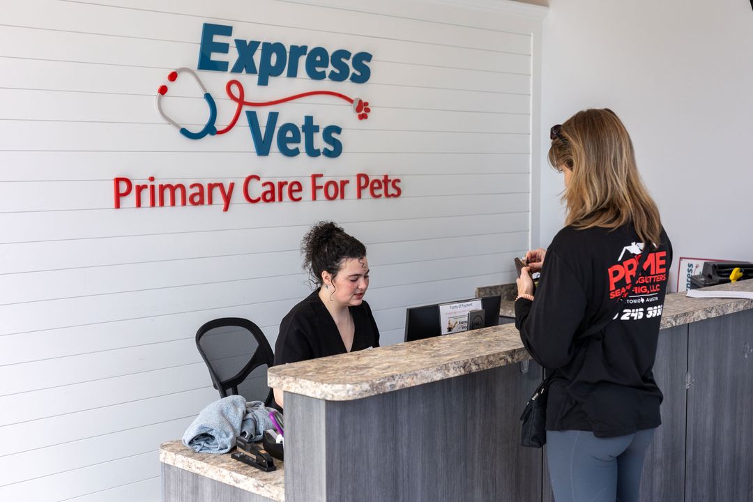 High-Quality Vet Hospital in Northern Georgia | Express Vets