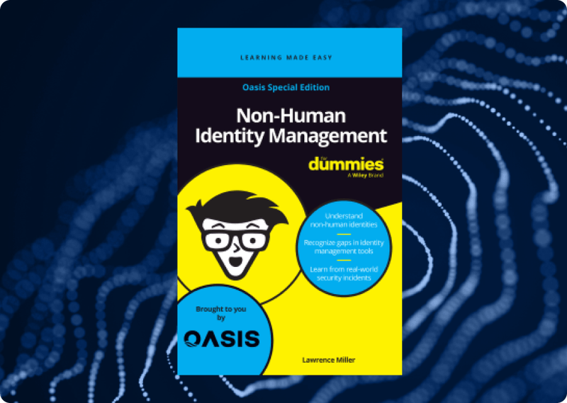 Non-Human Identity Management Platform