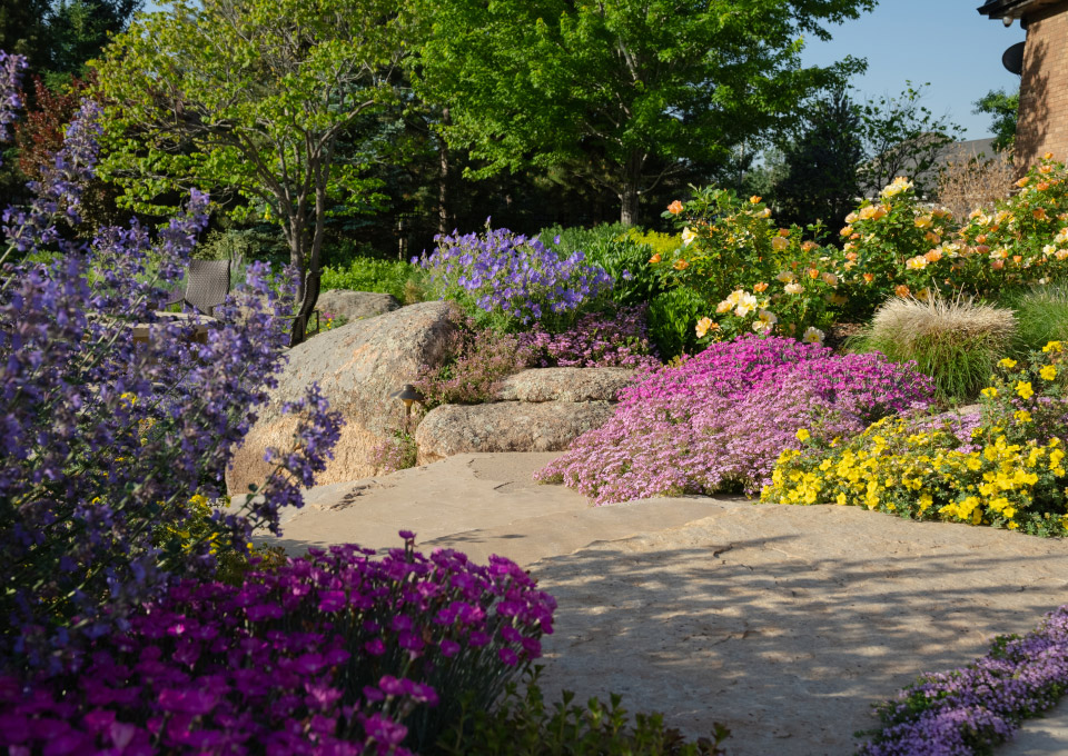 Branch Landscape Group - Where the Extraordinary Blooms