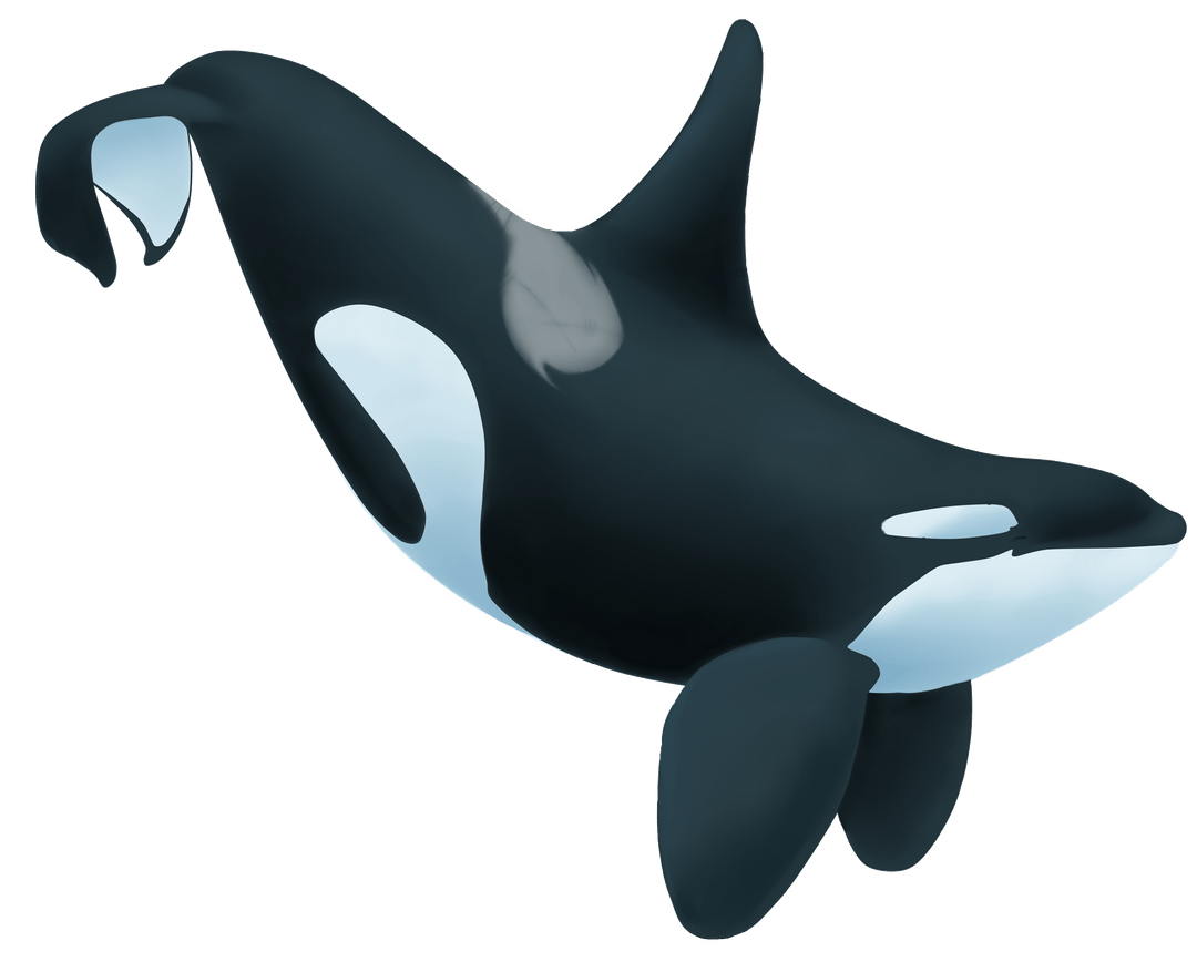 Sightings Maps | Orca Behavior Institute