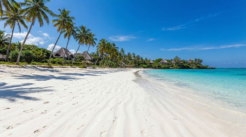 Diani Beach: qué ver, cómo llegar, clima y mejores planes