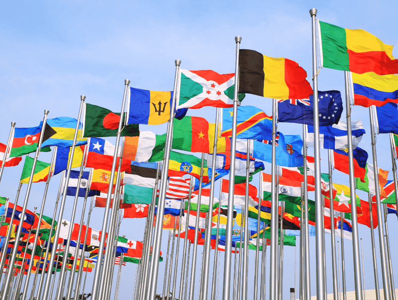 What is the Mat B1 Form?