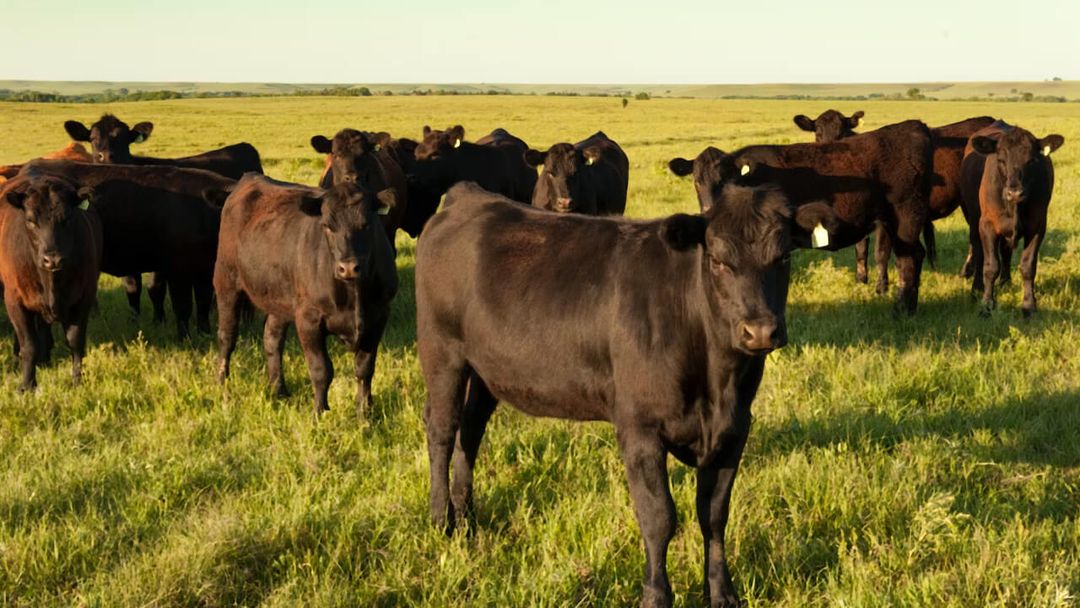 About | 2Fifty Texas Style BBQ with a pinch of the tropics | Maryland & DC