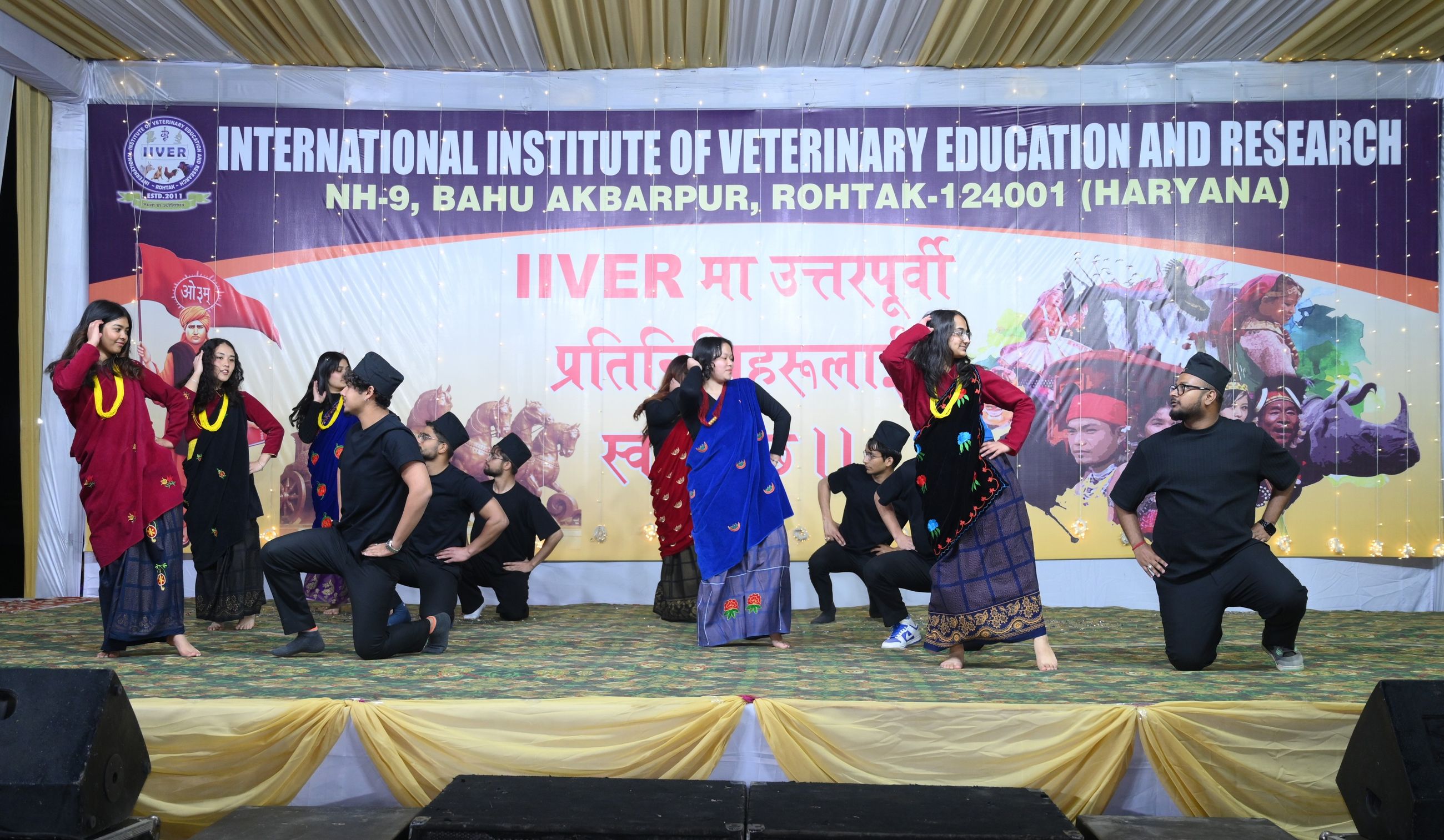 IIVER - India’s Best Private Veterinary College, Rohtak Haryana