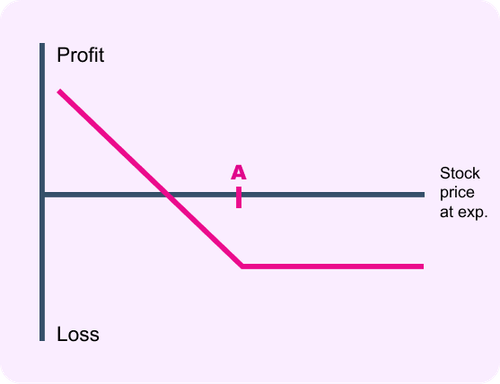 Long Put Option Strategy | Trading Put Options - The Options Playbook