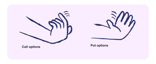 Stock Options Basics | Basics of Options Trading - The Options Playbook