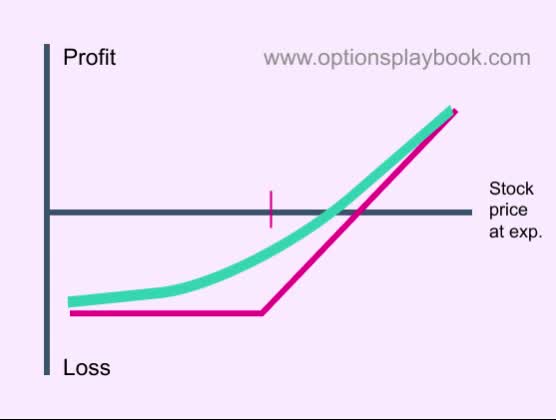 Protective Put | Trading Put Options - The Options Playbook