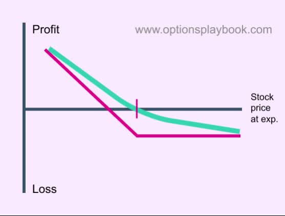 Long Put Option Strategy | Trading Put Options - The Options Playbook