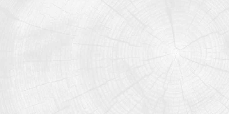 dataforest - About Us