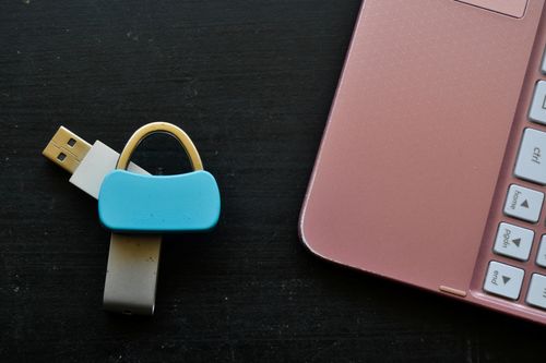 Replacing the FFIEC CAT: What do we do after CAT's nine lives are ...