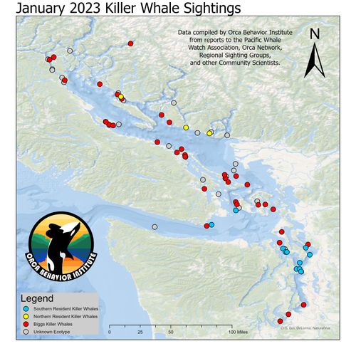 Sightings Maps | Orca Behavior Institute
