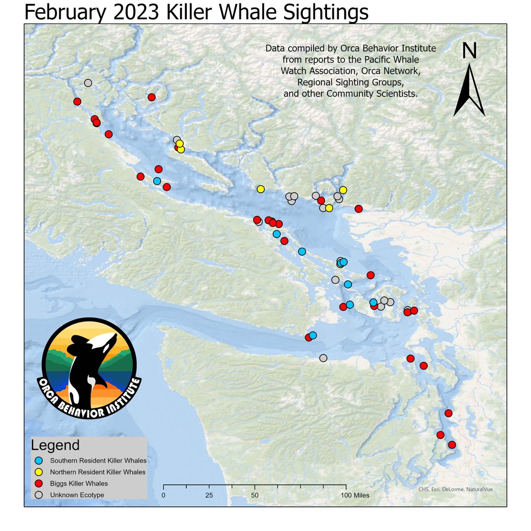 Sightings Maps | Orca Behavior Institute