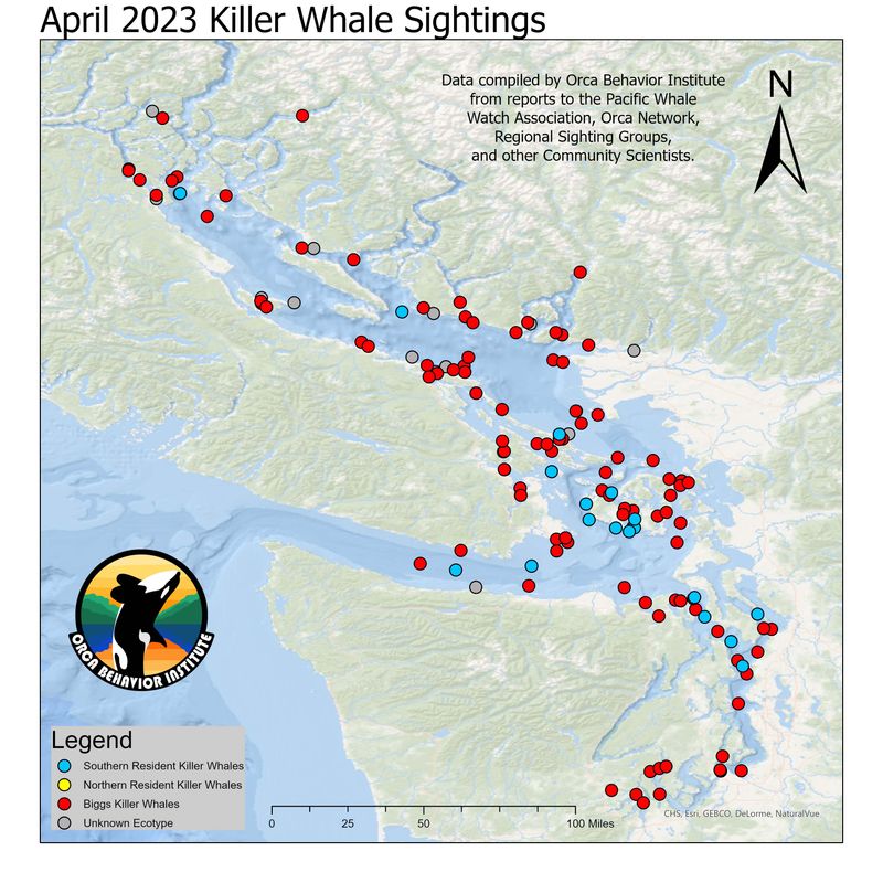 Sightings Maps | Orca Behavior Institute