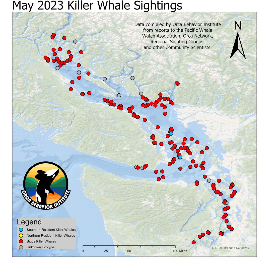 Sightings Maps | Orca Behavior Institute