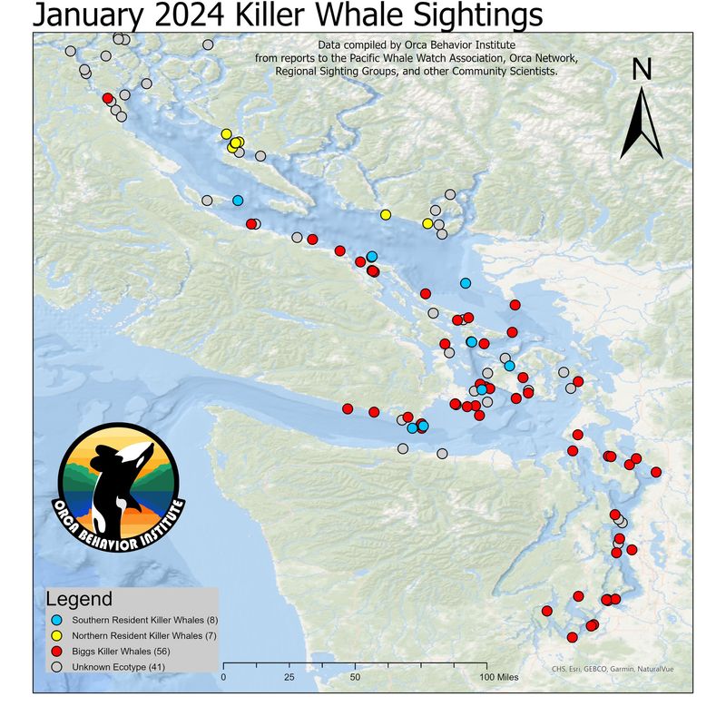 Sightings Maps | Orca Behavior Institute
