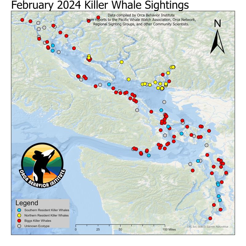 Sightings Maps | Orca Behavior Institute