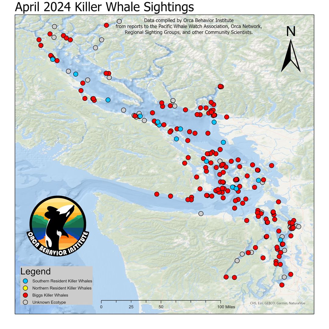 Sightings Maps | Orca Behavior Institute