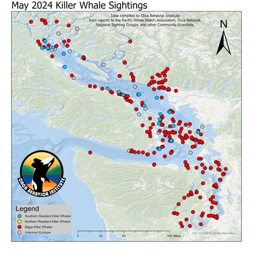 Sightings Maps | Orca Behavior Institute