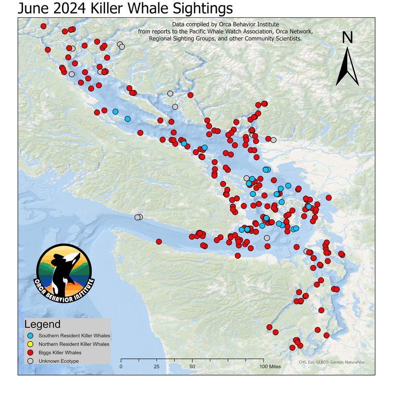 Sightings Maps | Orca Behavior Institute