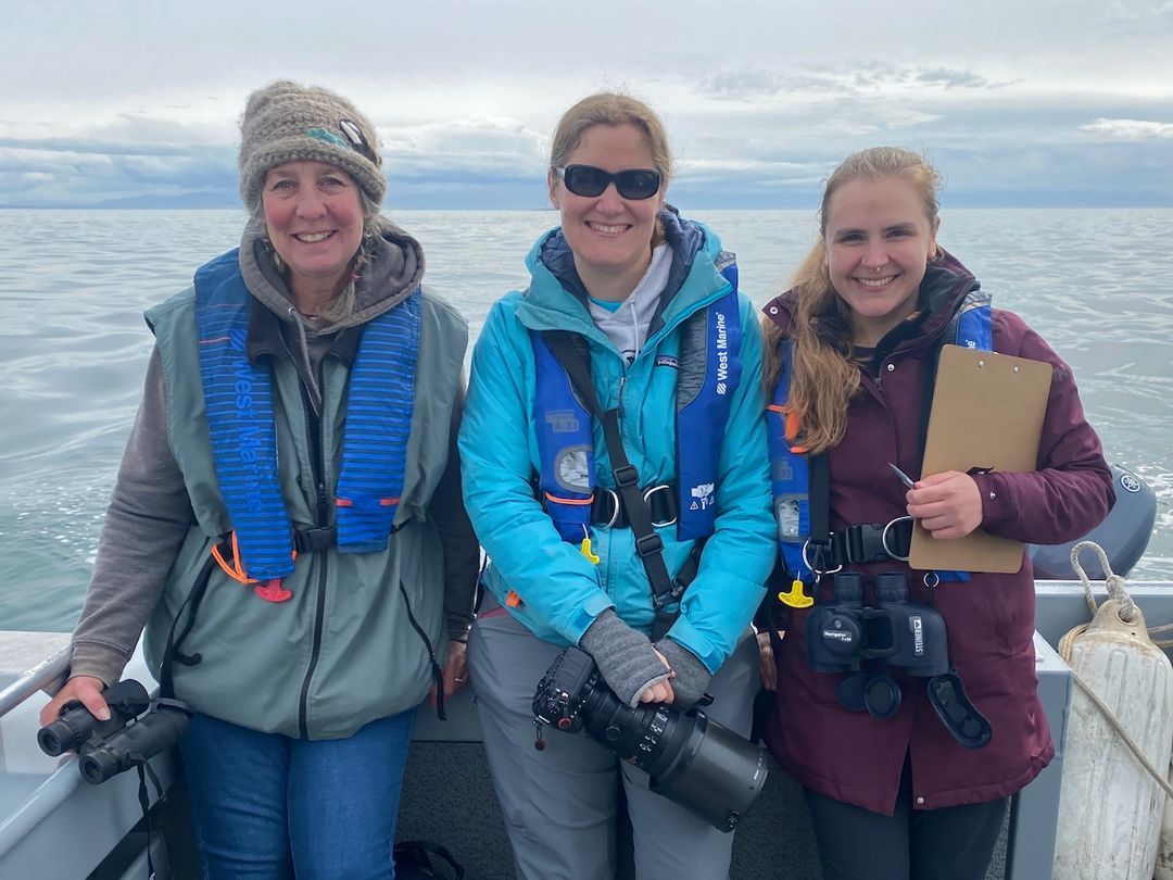 Whale University | Orca Behavior Institute