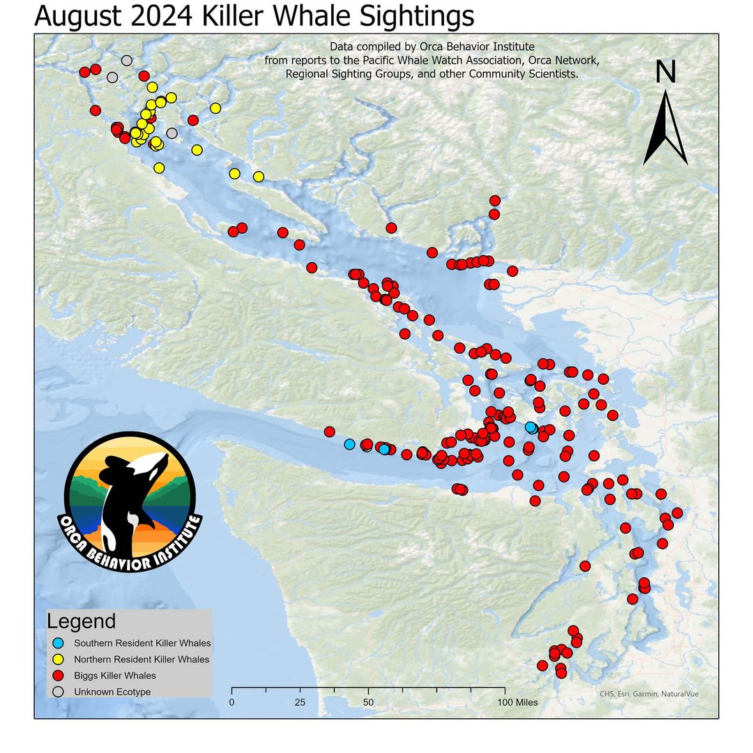 Sightings Maps | Orca Behavior Institute