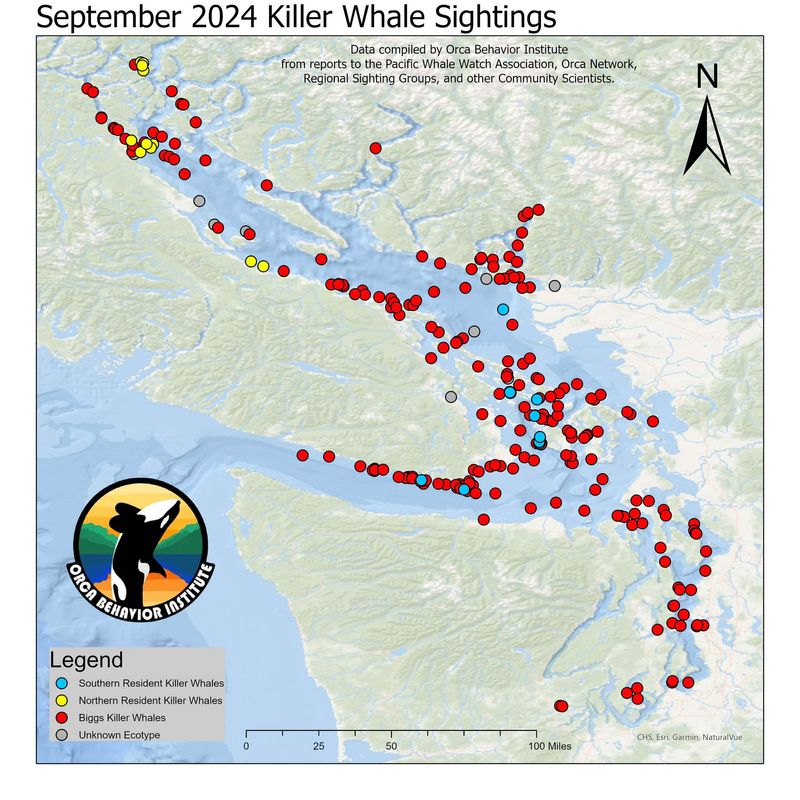 Sightings Maps | Orca Behavior Institute