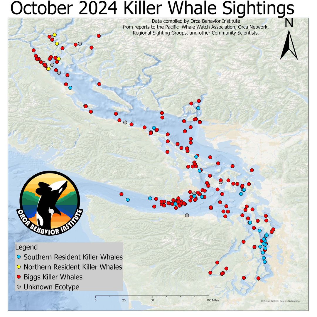 Sightings Maps | Orca Behavior Institute