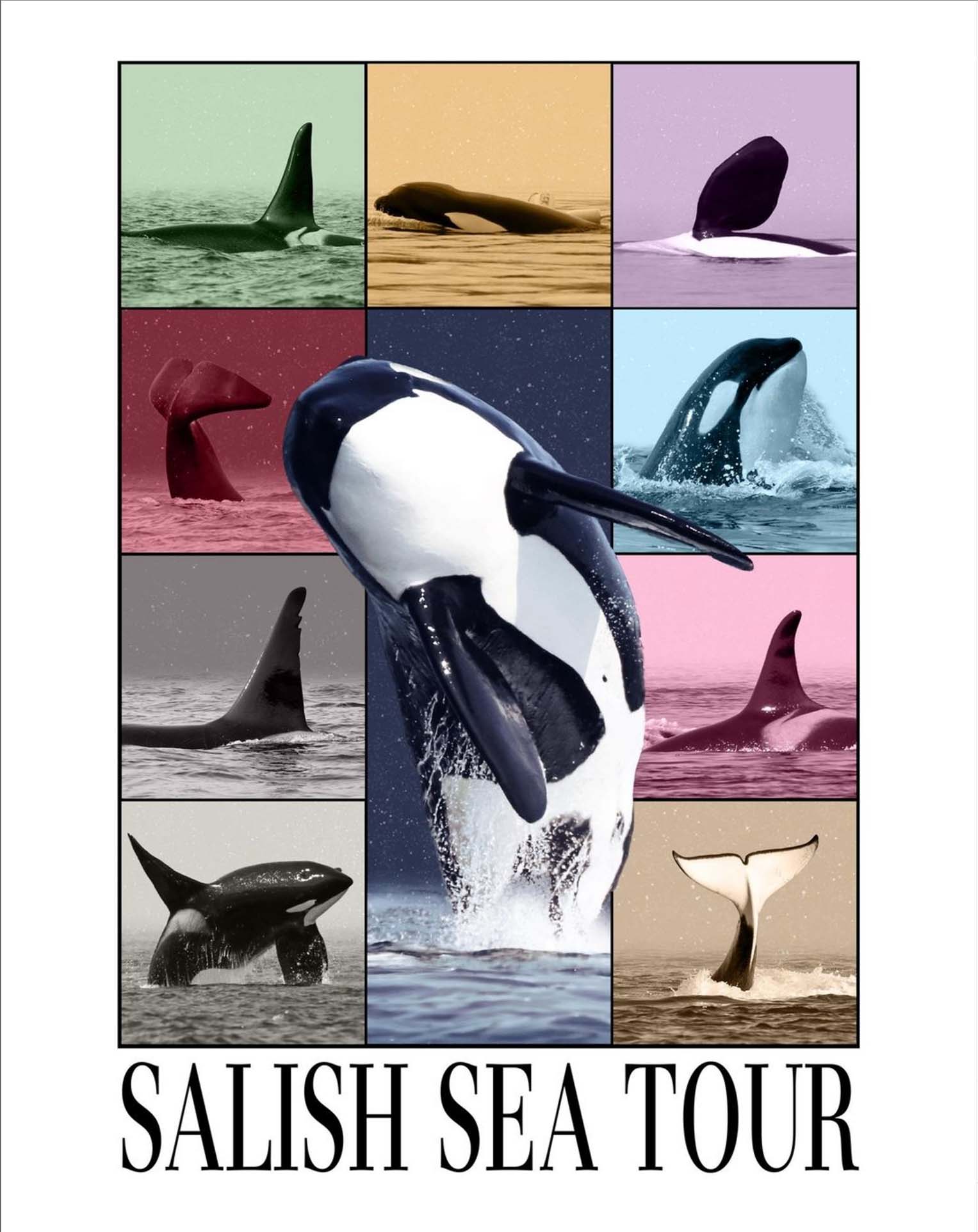 In My Orca Era: The Salish Sea Tour, Supporting Orca Behavior Institute