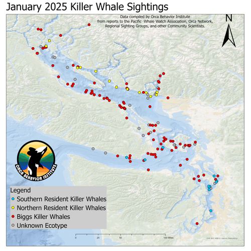 Sightings Maps | Orca Behavior Institute