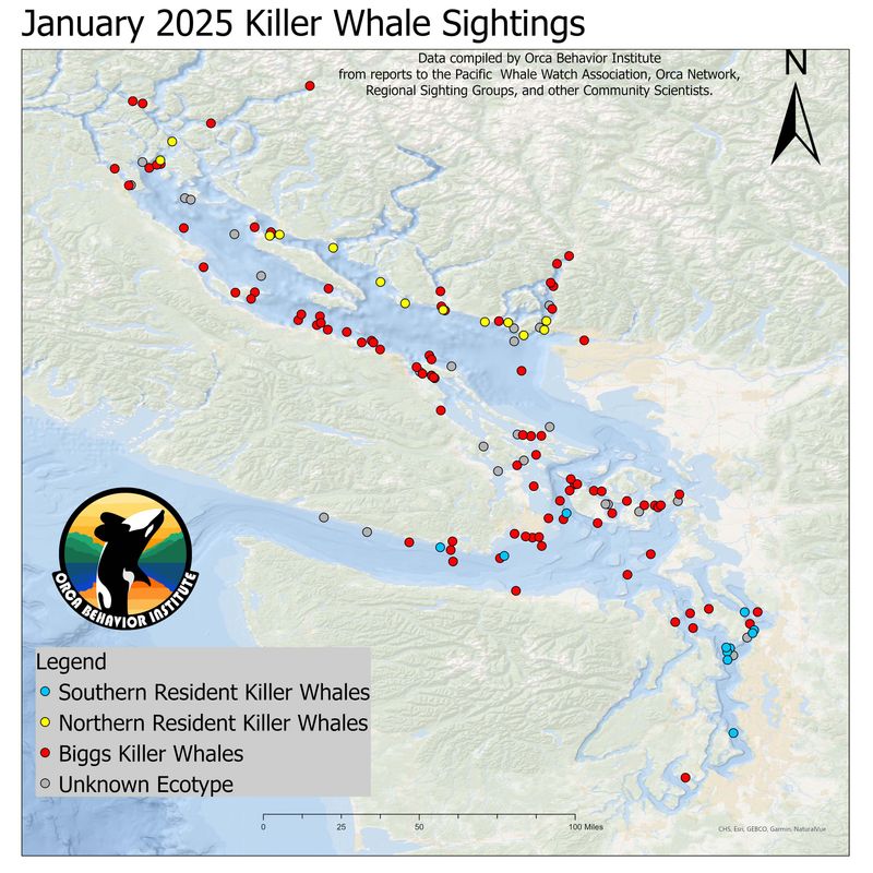 Sightings Maps | Orca Behavior Institute