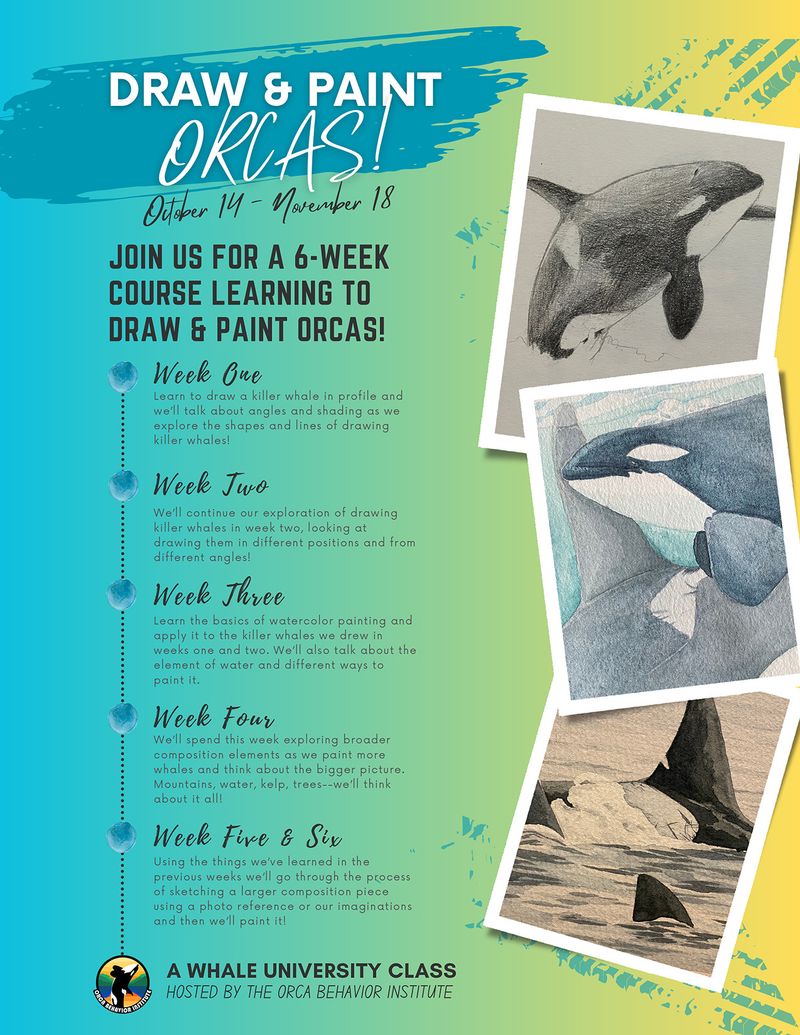 Whale University | Orca Behavior Institute