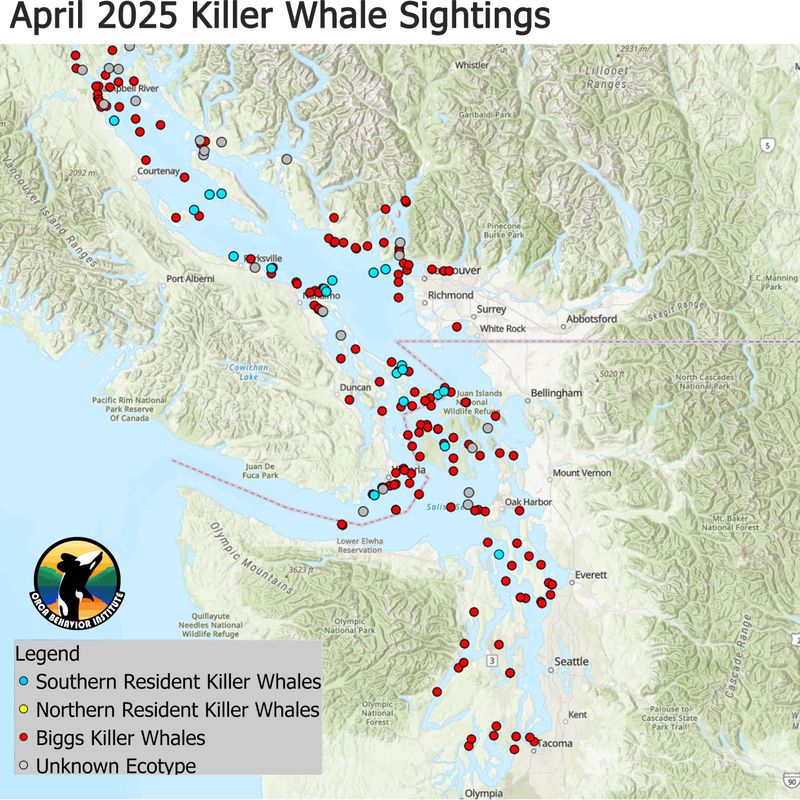Sightings Maps | Orca Behavior Institute