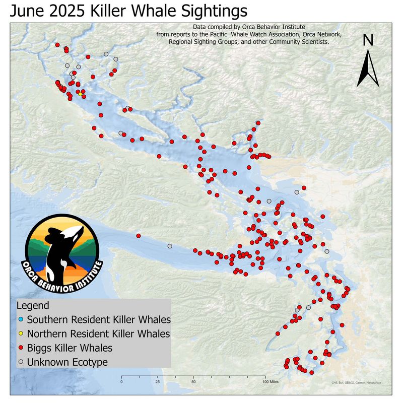 Orca Behavior Institute