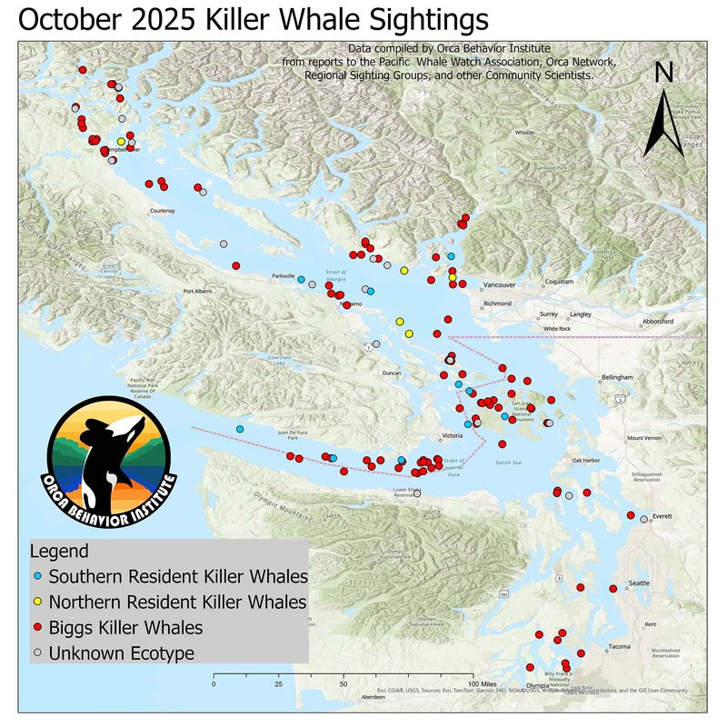 Orca Sightings Maps | Orca Behavior Institute