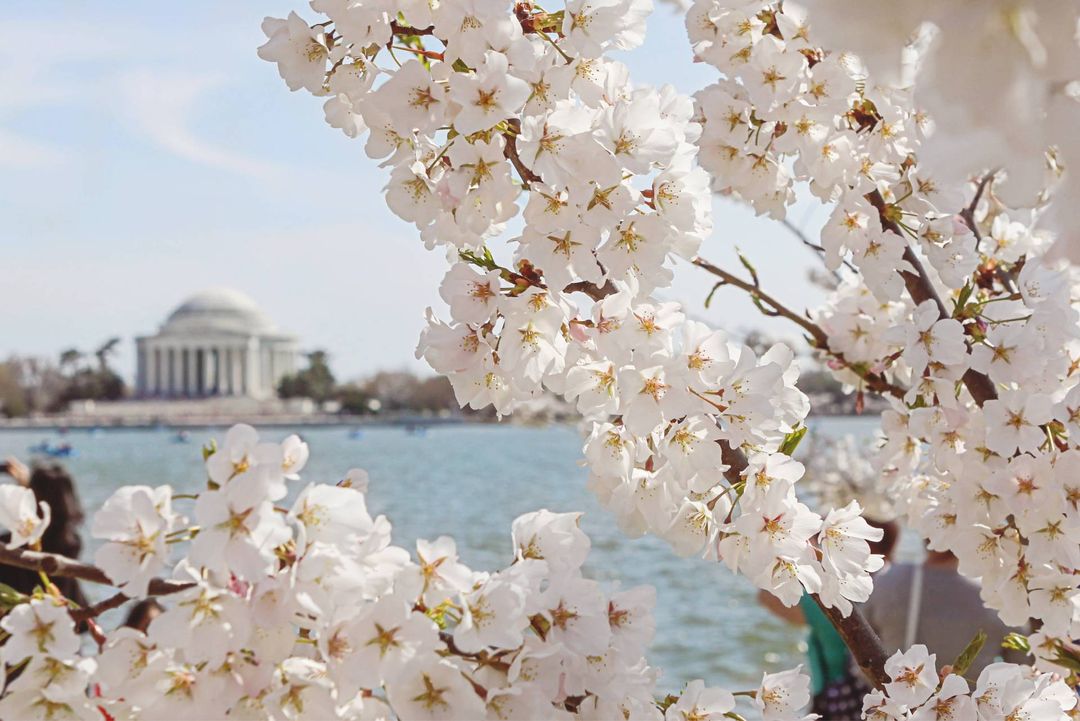 Breaking the Cycle: A Comprehensive Approach to Reducing Recidivism ...