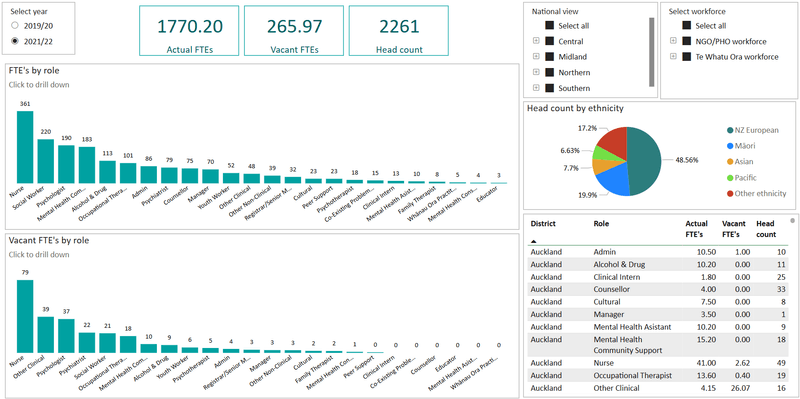 The Choice and Partnership Approach (CAPA)