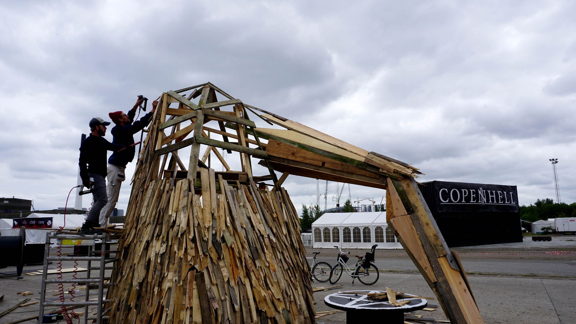 Olav the Wolf | Portfolio