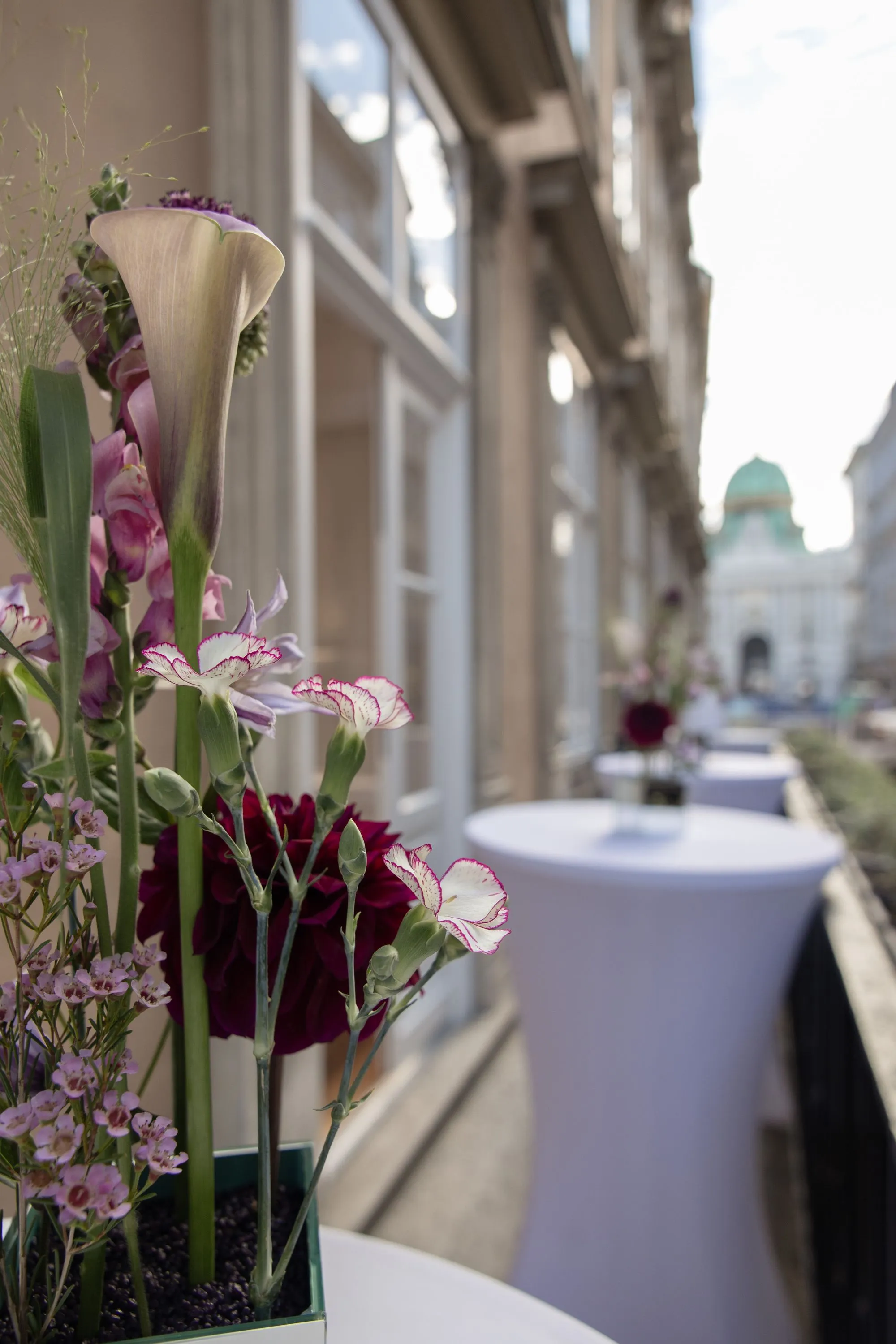 Eleganz und Exklusivität bei Chegini Wien | Luxusmode im Herzen von Wien