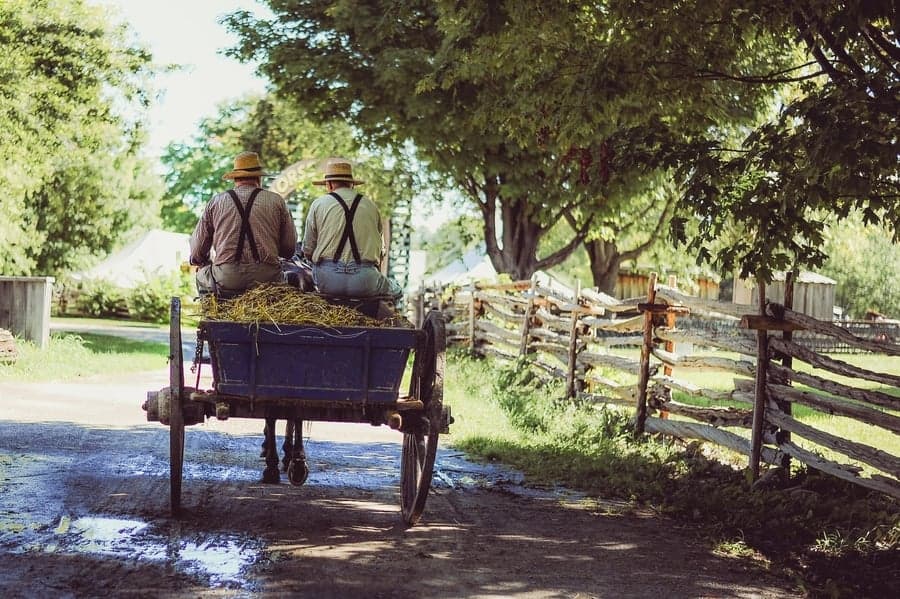 Top 13 Amish Communities in America : Culture Guide