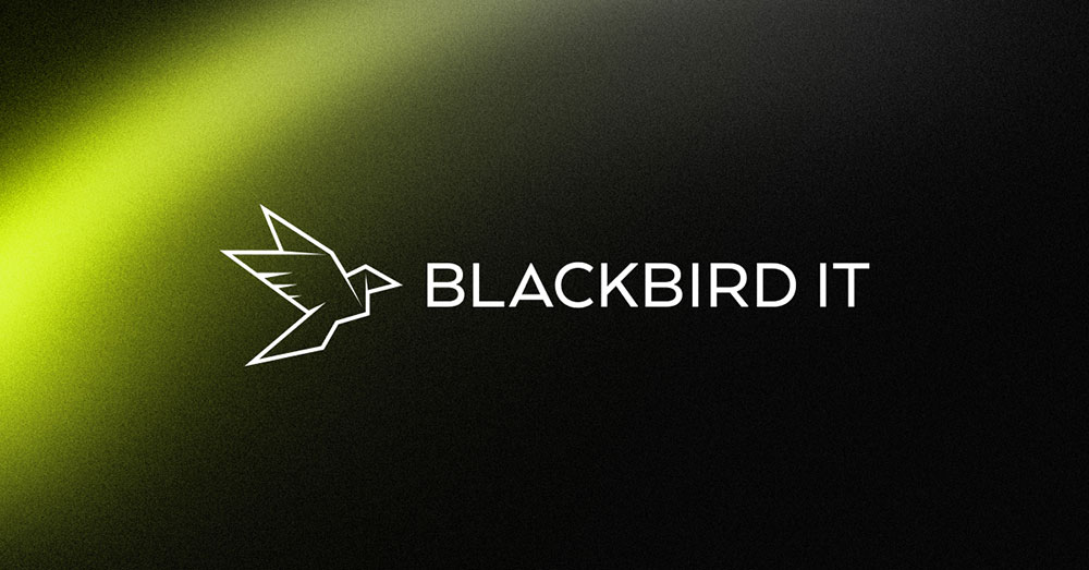 Blackbird IT: Managed IT Services for Growing Organisations
