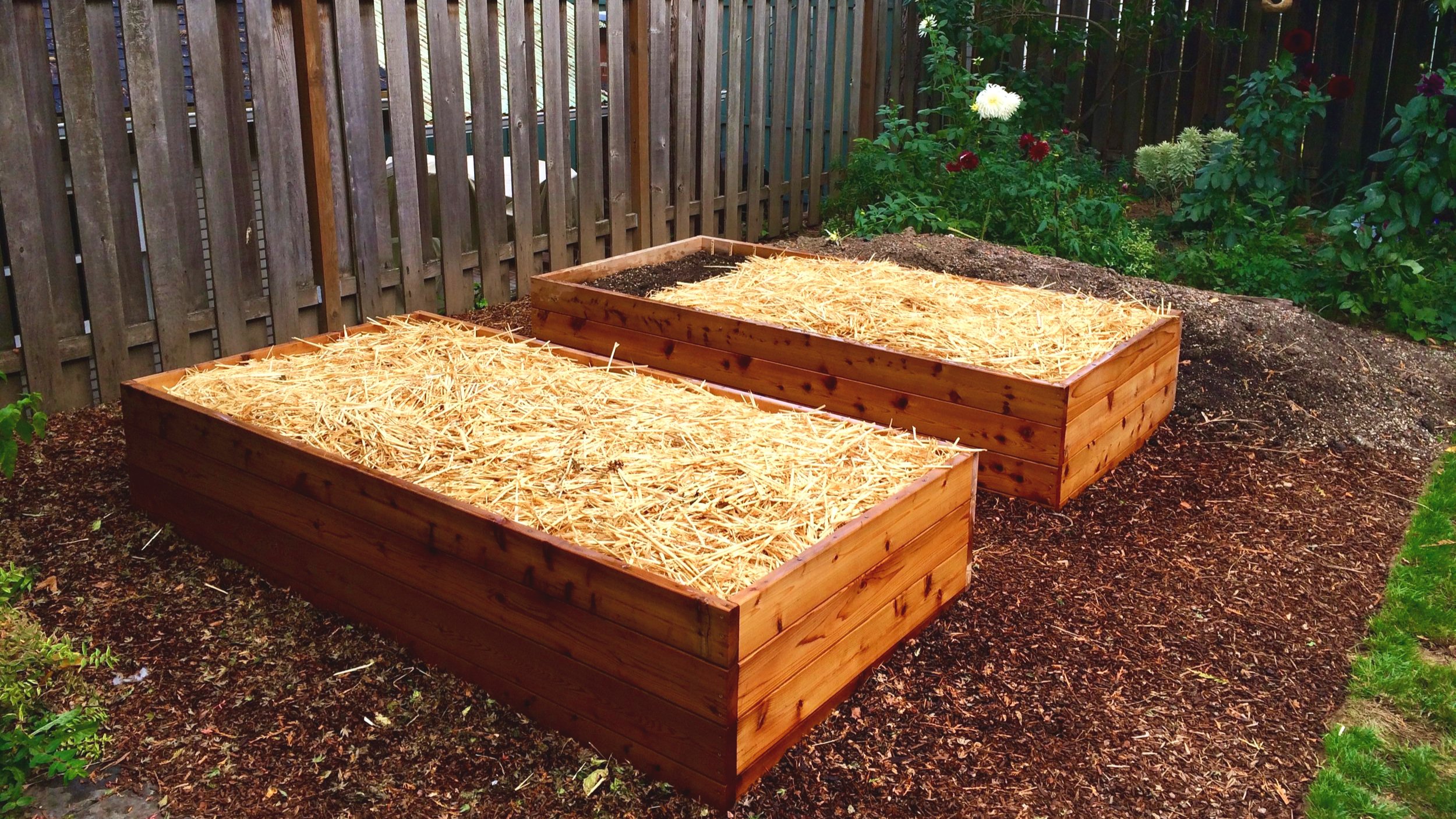 Preparing Your Winter Garden: Straw Mulch vs Cover Crop | Portland ...