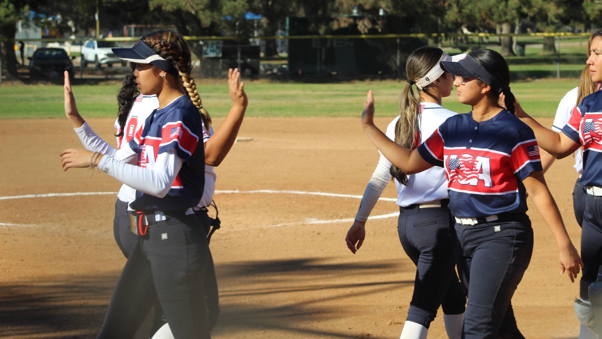 USA Athletics Gold Softball