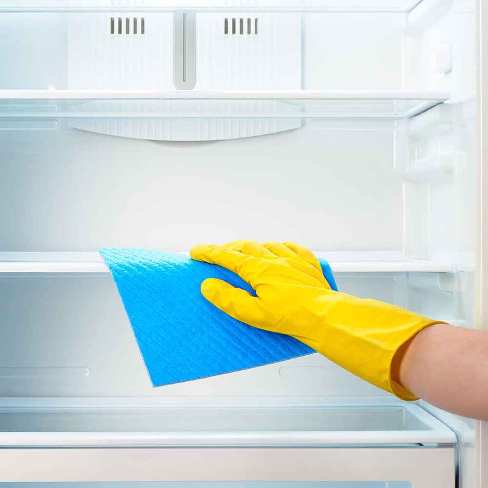 National Clean Out Your Fridge Day | November 15