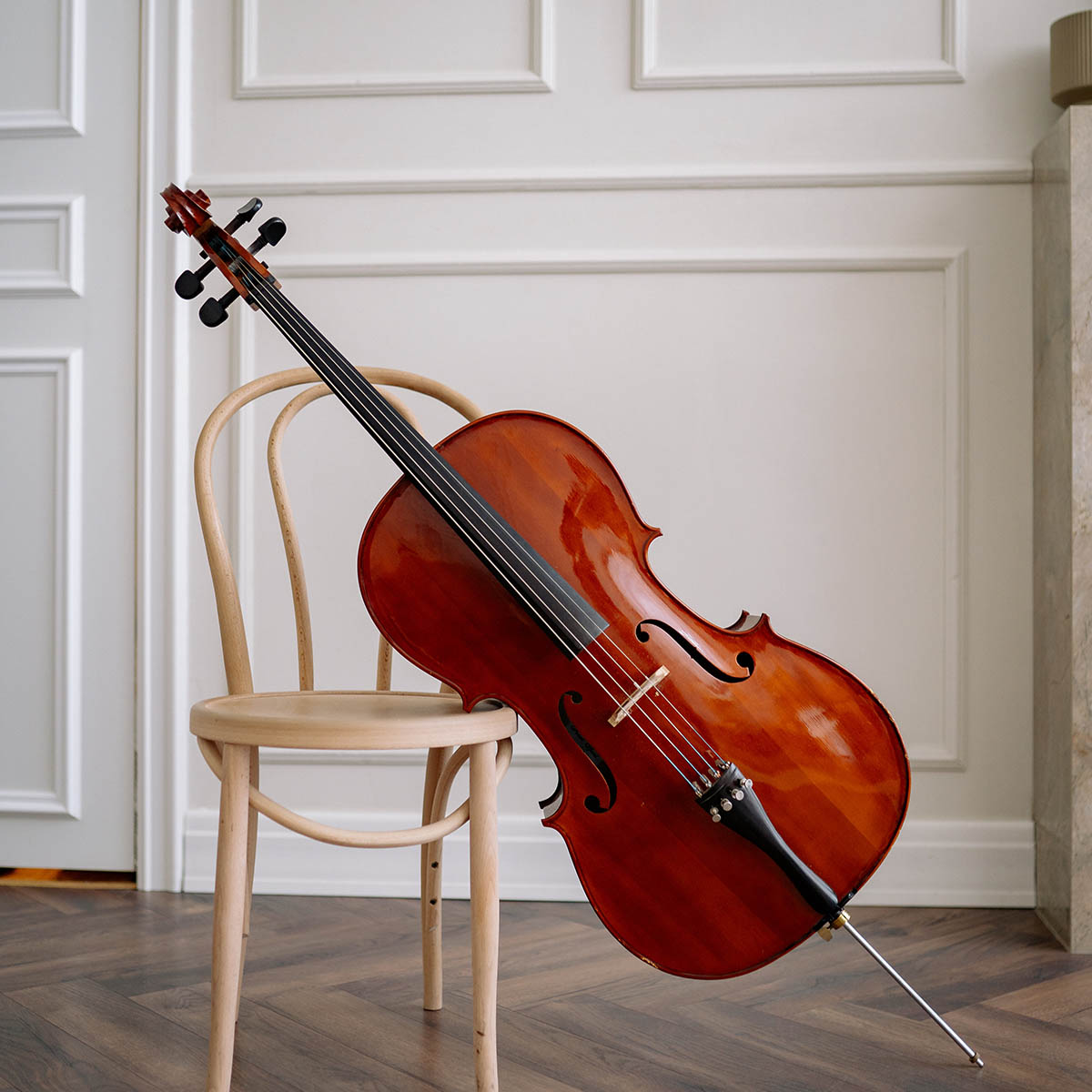 International Cello Day | December 29