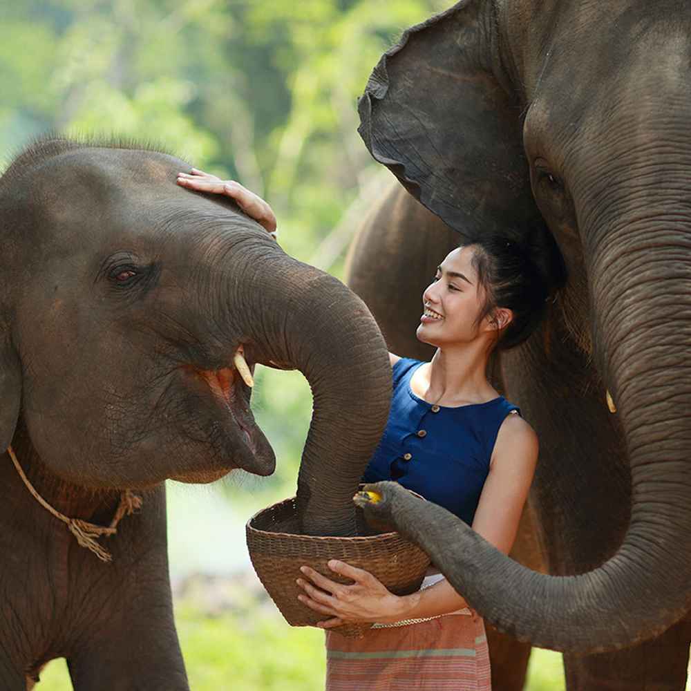 National Elephant Appreciation Day | September 22