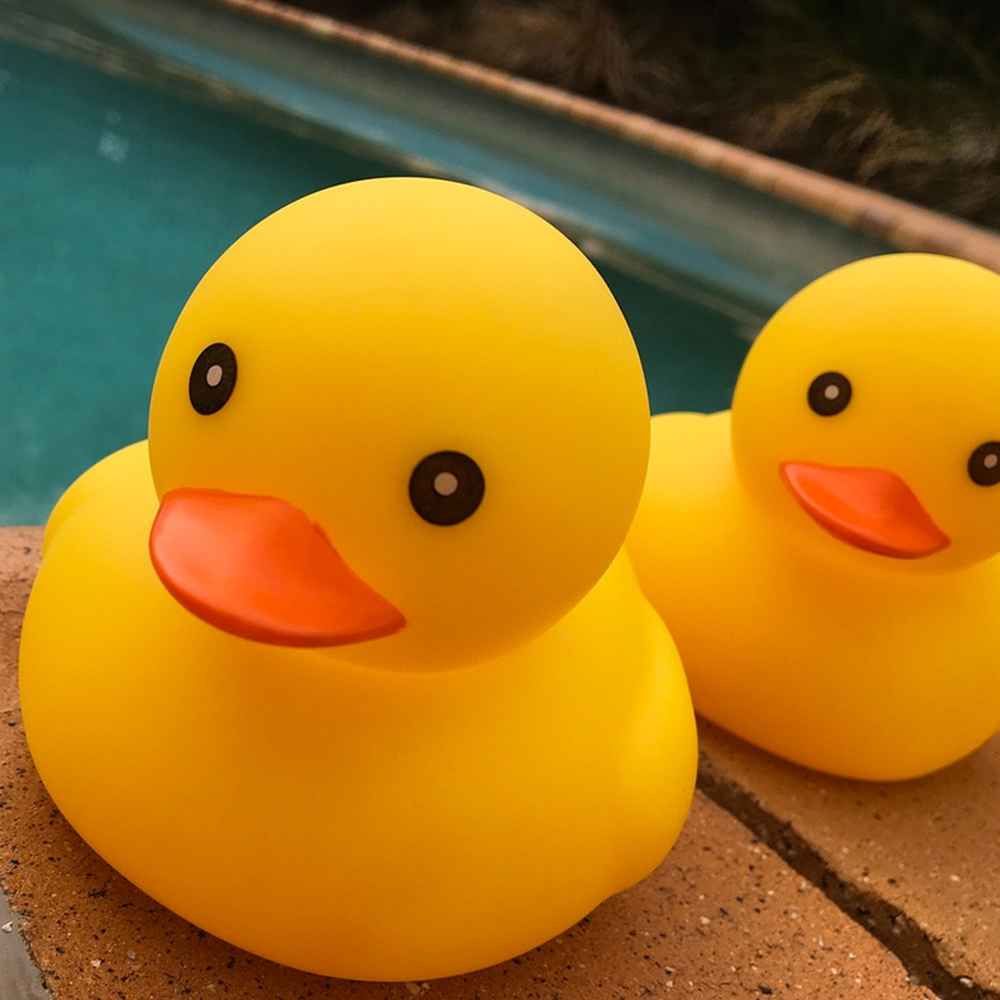 National Rubber Ducky Day | January 13