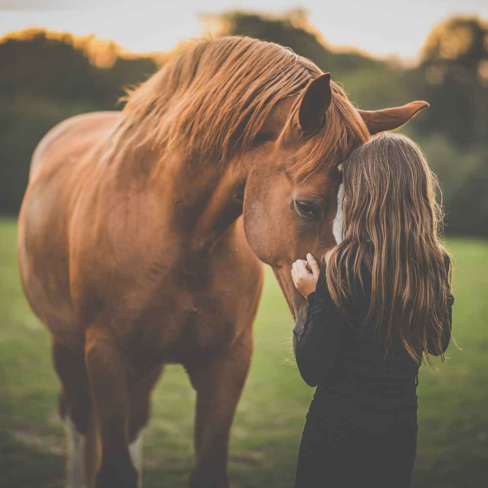 In honor of National I Love Horses Day | The Horse Forum