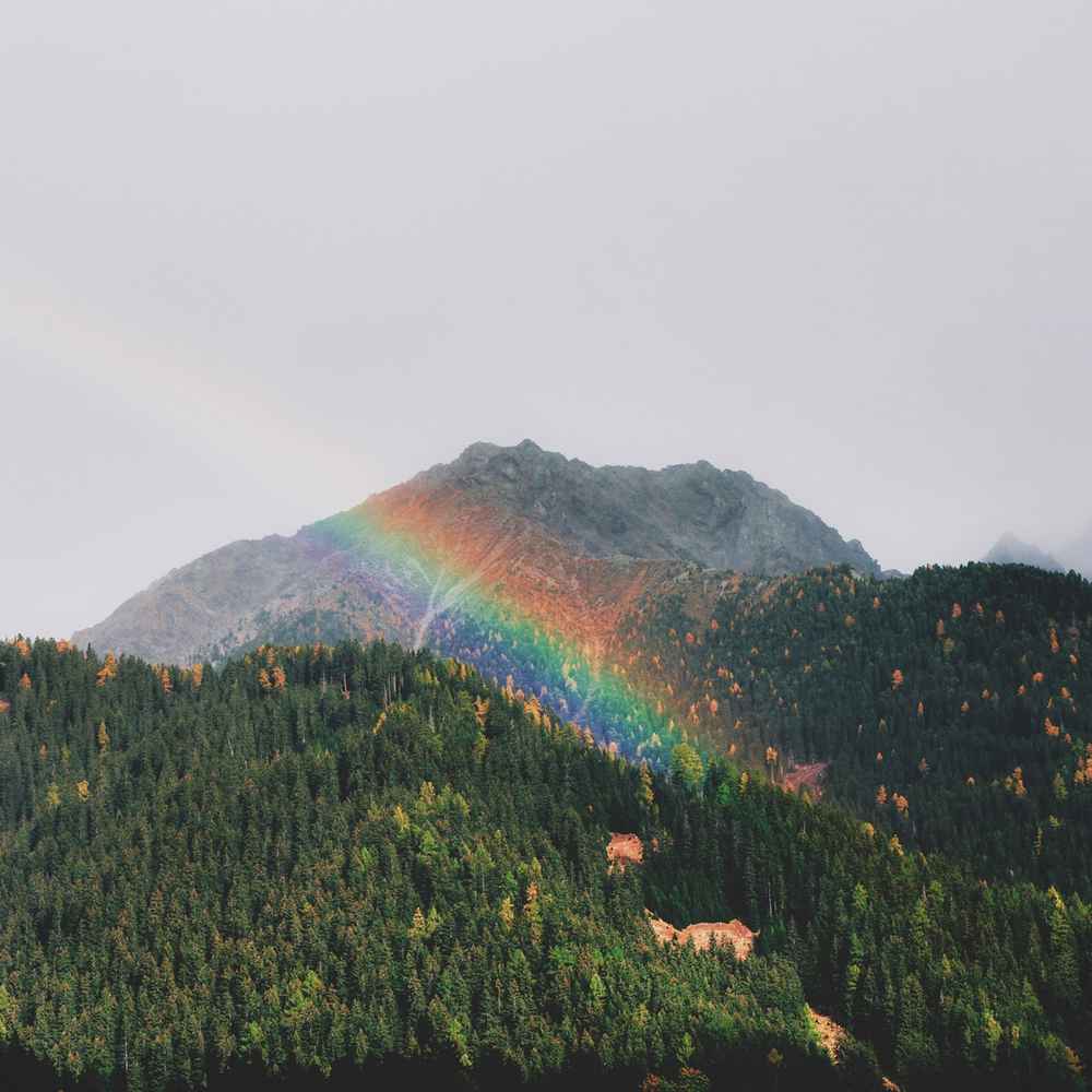 National Find a Rainbow Day | April 3