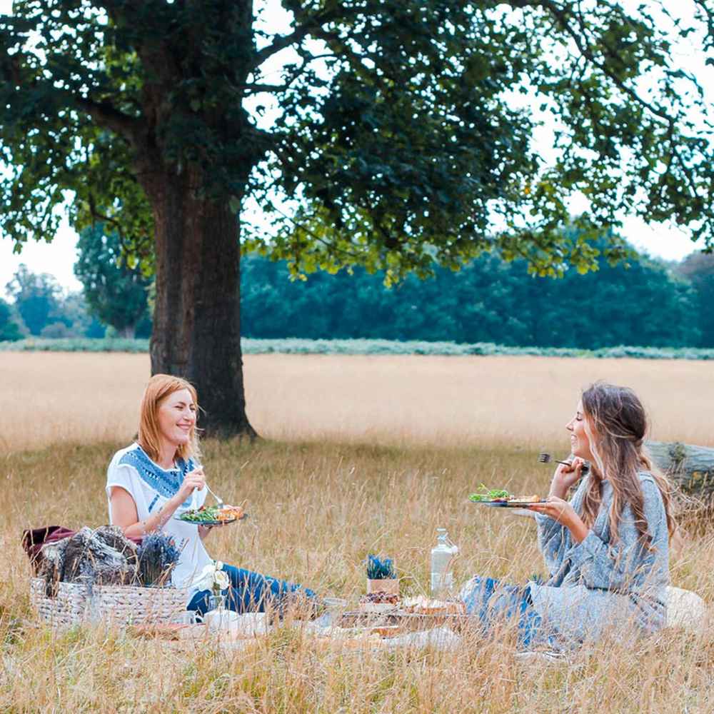 National Picnic Day | April 23