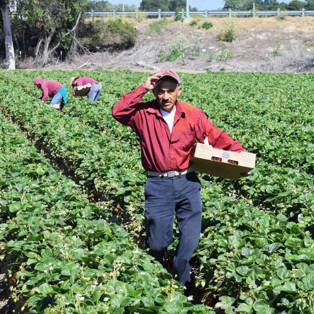 National Farm Workers Day | March 31